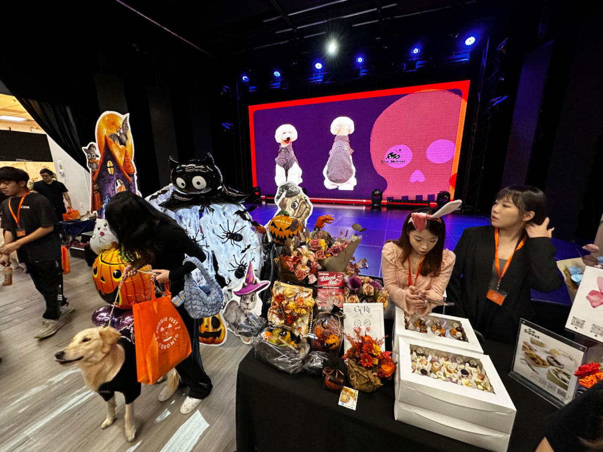 Sosweet's Sweetest Howl-O-Ween at the Doggie Fest 2023 — SOSWEET